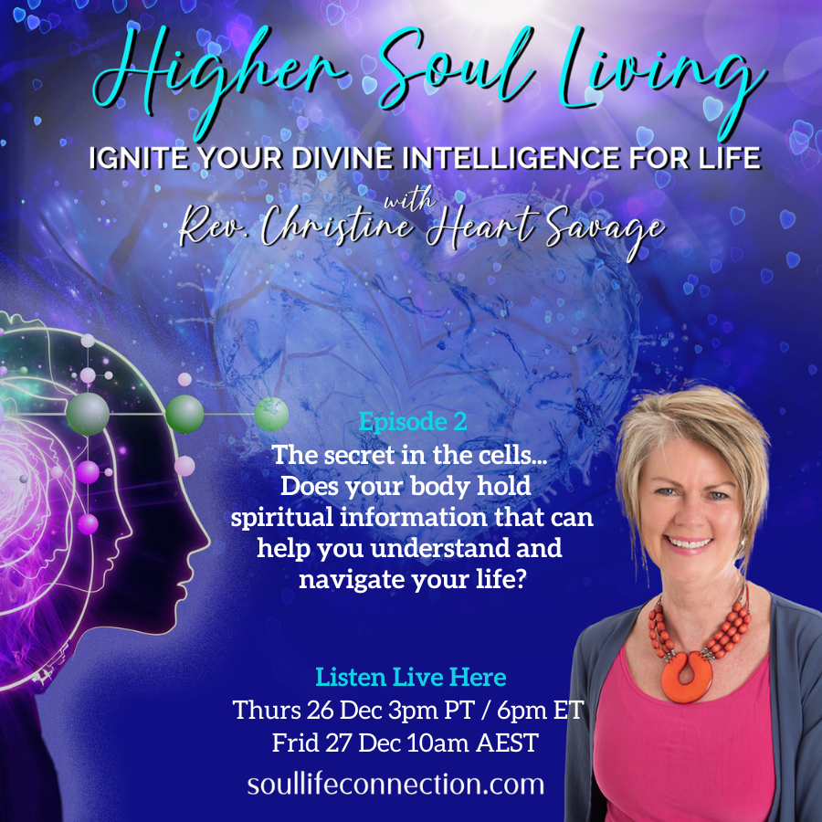 Soul Life Connection | Nov 2023